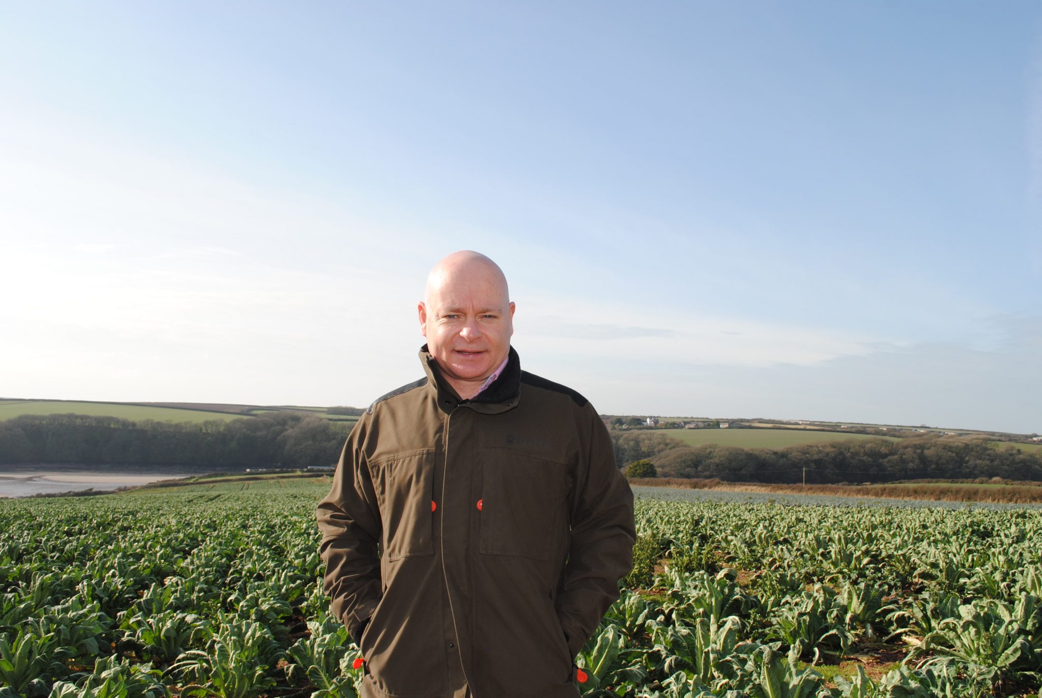 | Puffin Produce Ltd announces the appointment of Chairman, Rhys Iley