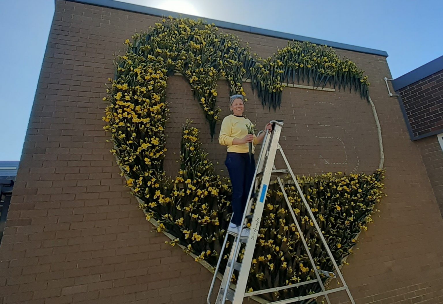 | A Heart-FULL of Gratitude for Withybush General Hospital from Blas y ...